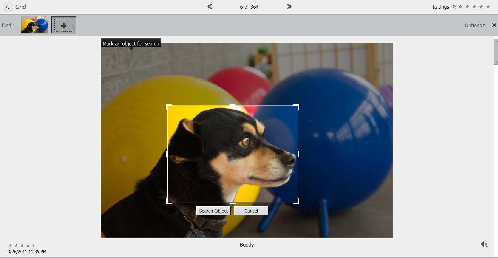 Search based on visual uniqueness in Elements Organizer