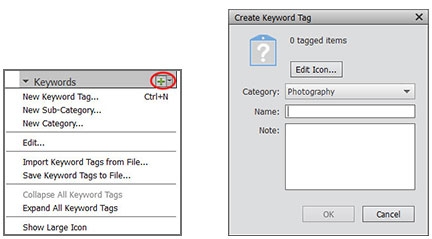 Tag your media in Elements Organizer