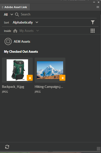 Troubleshoot Adobe Asset Link