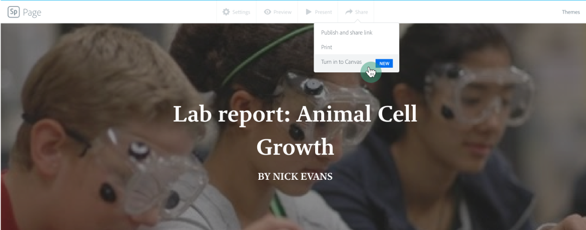 Integrate Adobe Creative Cloud and Spark with Canvas LMS