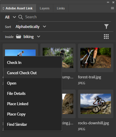 Manage assets using Adobe Asset Link