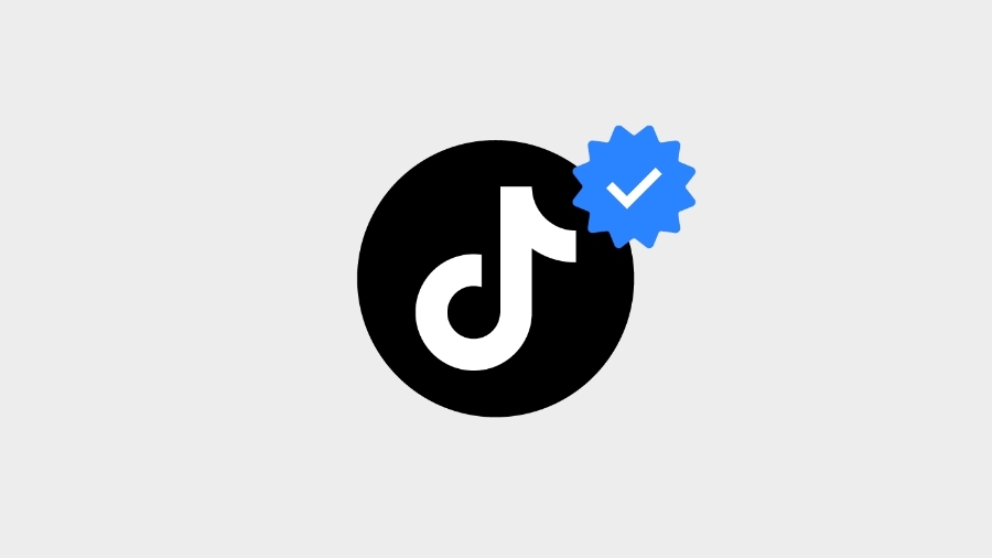 Getting verified on social media