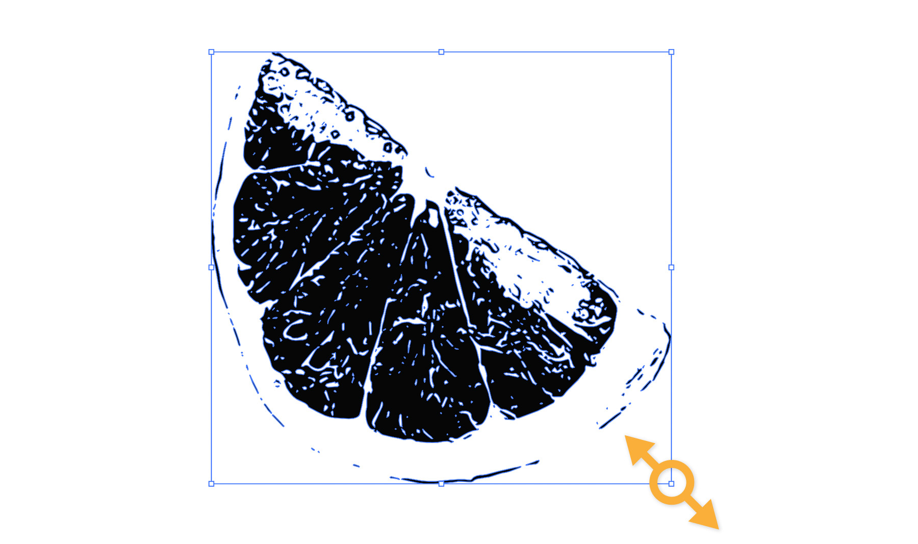 How to make pop art | Kurzy Adobe Illustrator