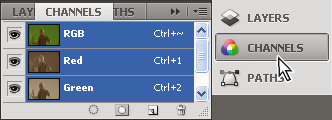 How to customize the Illustrator workspace