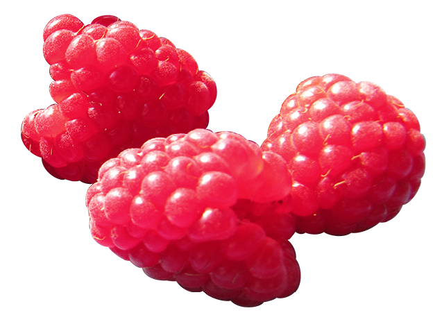 Image tracing presets