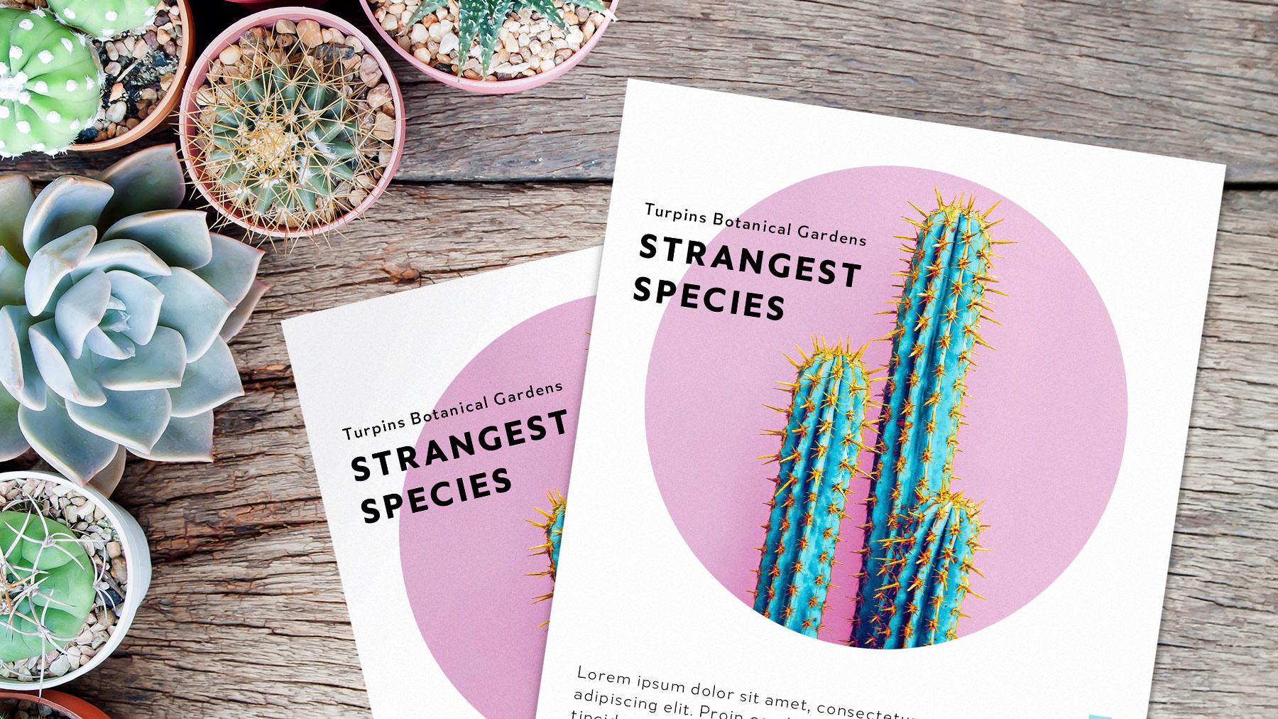 How To Make A Flyer Adobe InDesign 