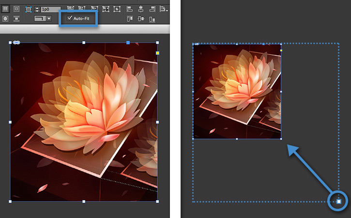 Resize Content In A Frame In InDesign Adobe InDesign Tutorials