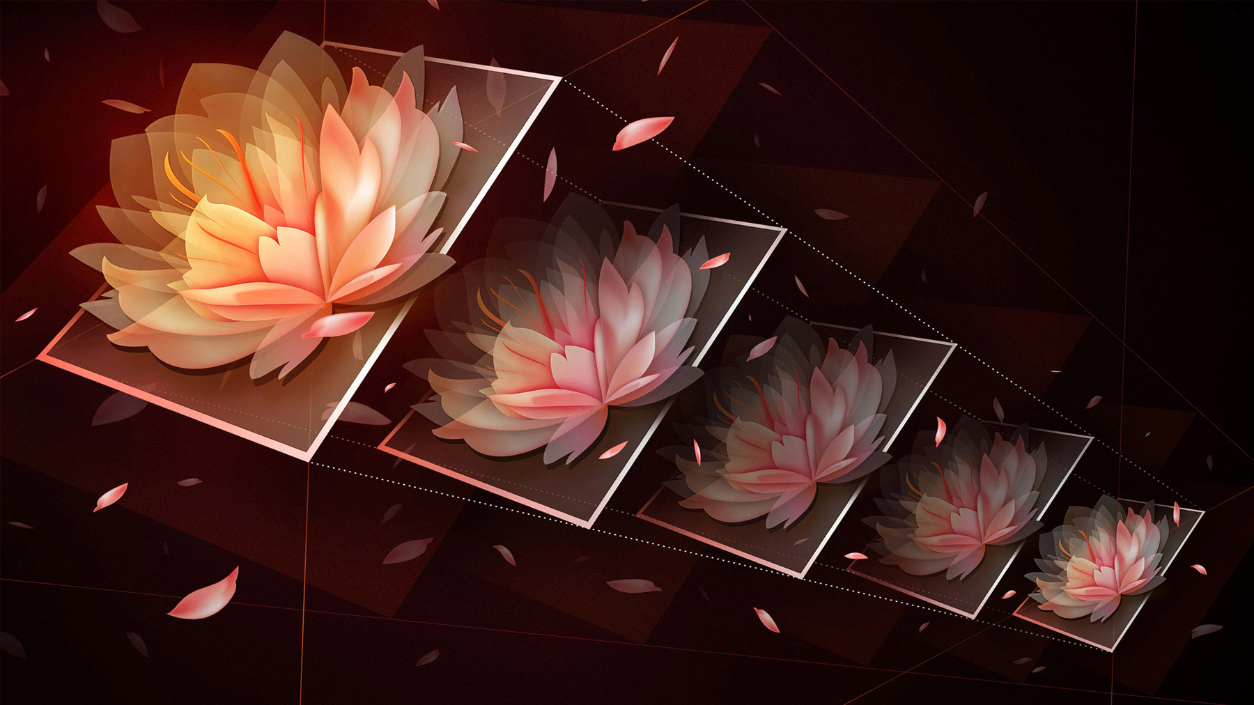 Resize Content In A Frame In InDesign Adobe InDesign Tutorials