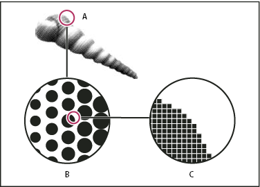 Manage color in InDesign