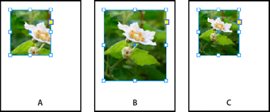 Work with frames and objects in InDesign