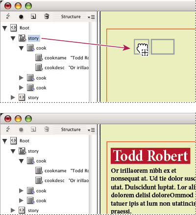 Import XML in InDesign