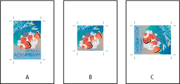 Print documents in InDesign