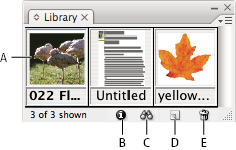 Reuse graphics and text in InDesign