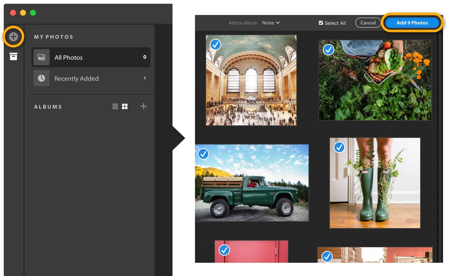 How to organize your photos