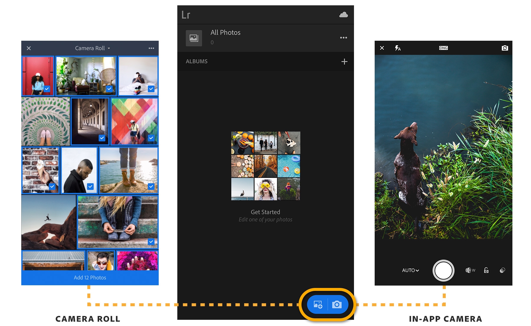 How to organize your photos