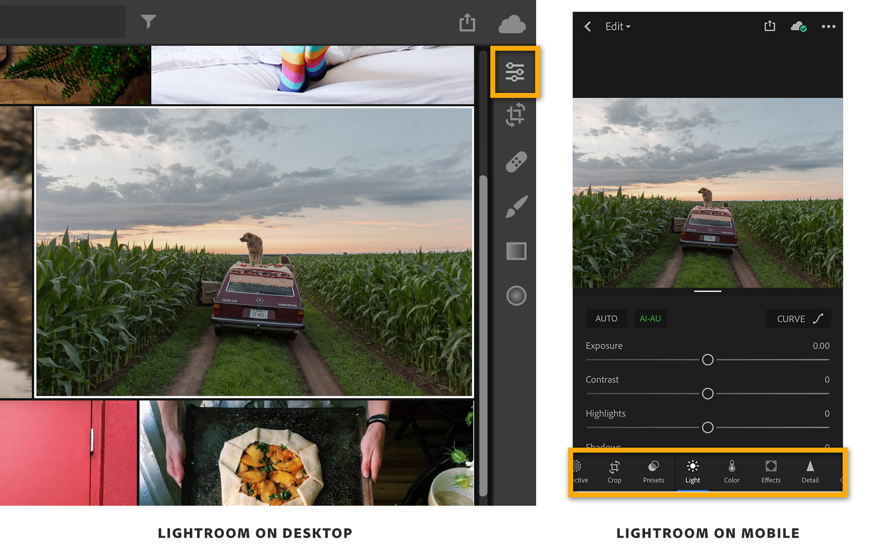 Edit photos across all devices | บทแนะนำ Adobe Photoshop Lightroom