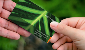 How to remove lens dust