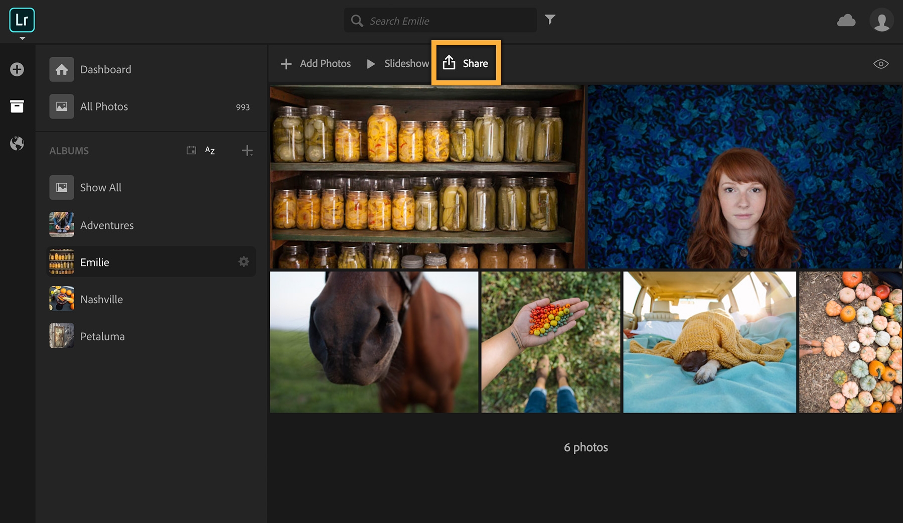How to share photos and albums in a Lightroom web gallery