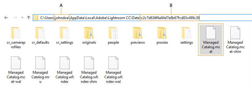 Error | Local Catalog Damaged