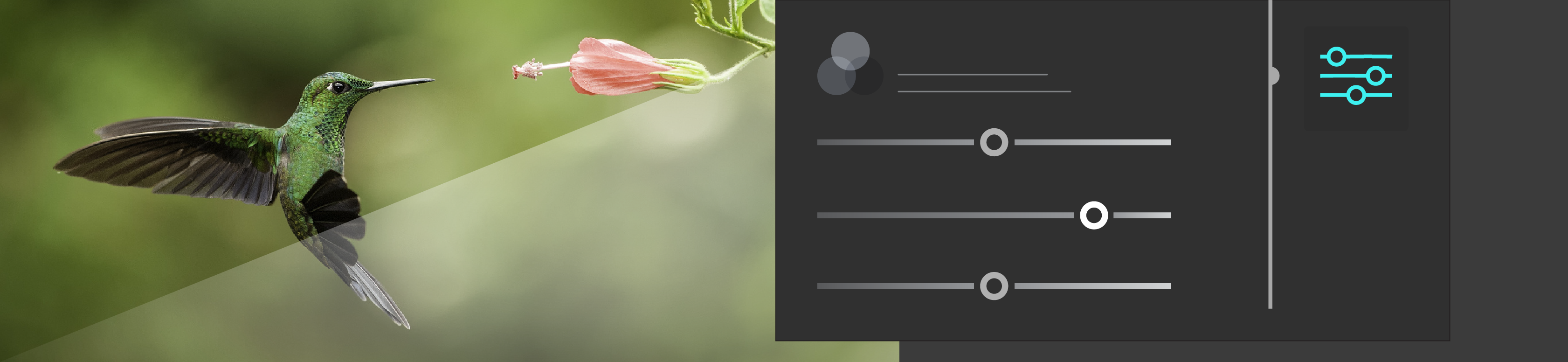 Edit photos using presets in Lightroom desktop