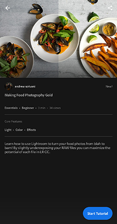 In-app learning and inspiration