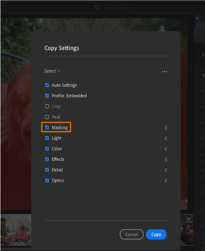 Apply Masking for local adjustments