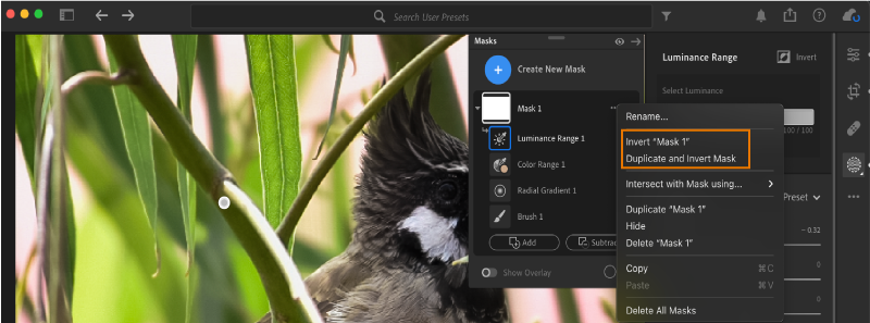 Feature summary | Lightroom (June 2022 release)