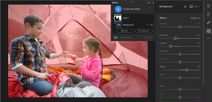 Apply Masking for local adjustments