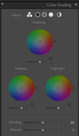 How to adjust image tone and color, and work in grayscale in Lightroom ...
