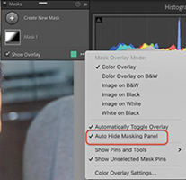 Lightroom Classic Masking tool