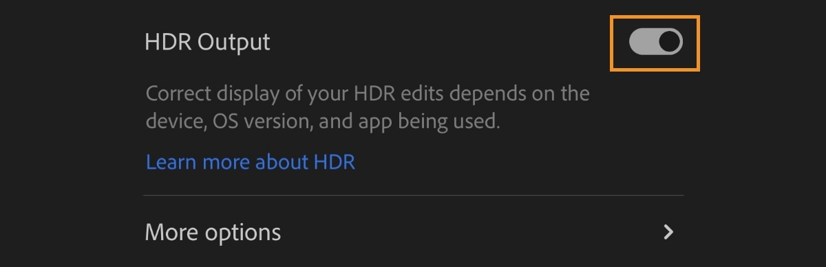 Optimize HDR photos in Lightroom for mobile (iOS)