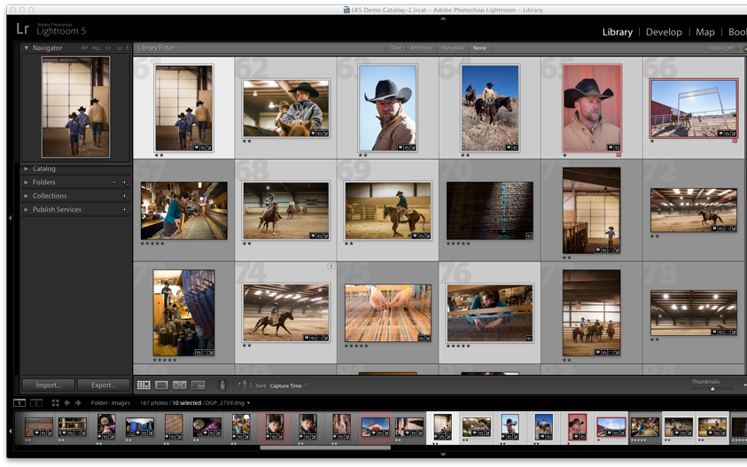How to browse and compare photos in Lightroom Classic