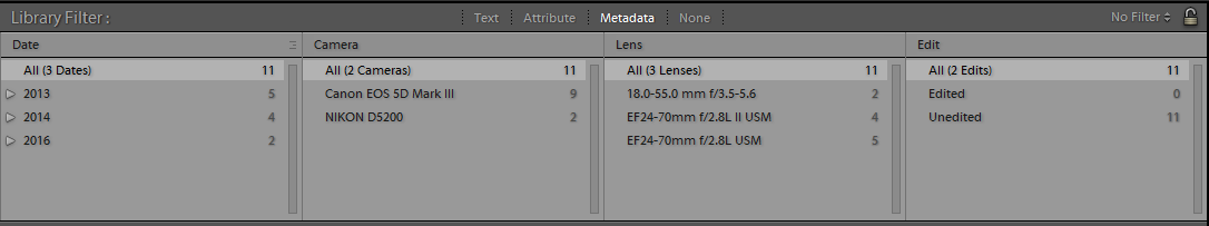 How to find photos in a catalog in Lightroom Classic