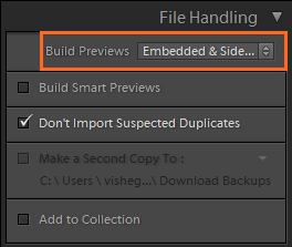 How to specify import options in Lightroom Classic