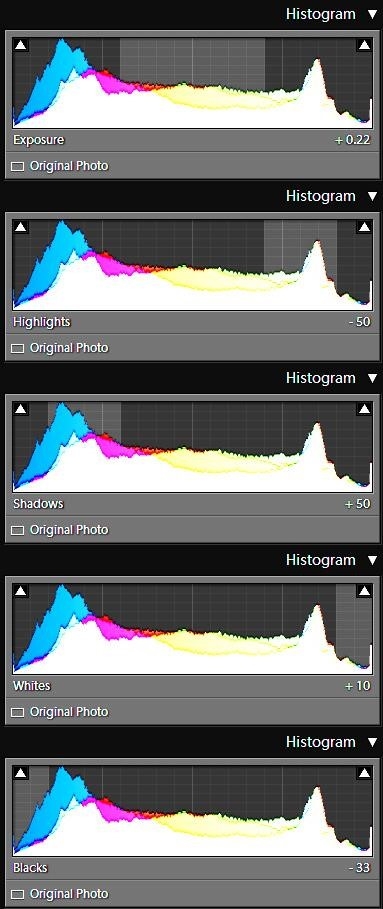 Tone Control Adjustment Procedure