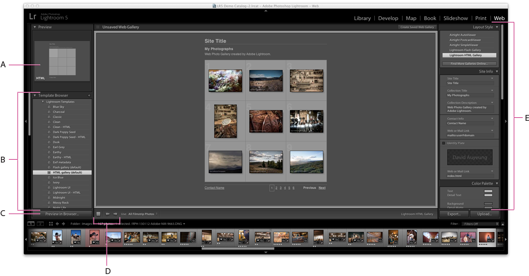 Use the Web module panels and tools in Lightroom Classic