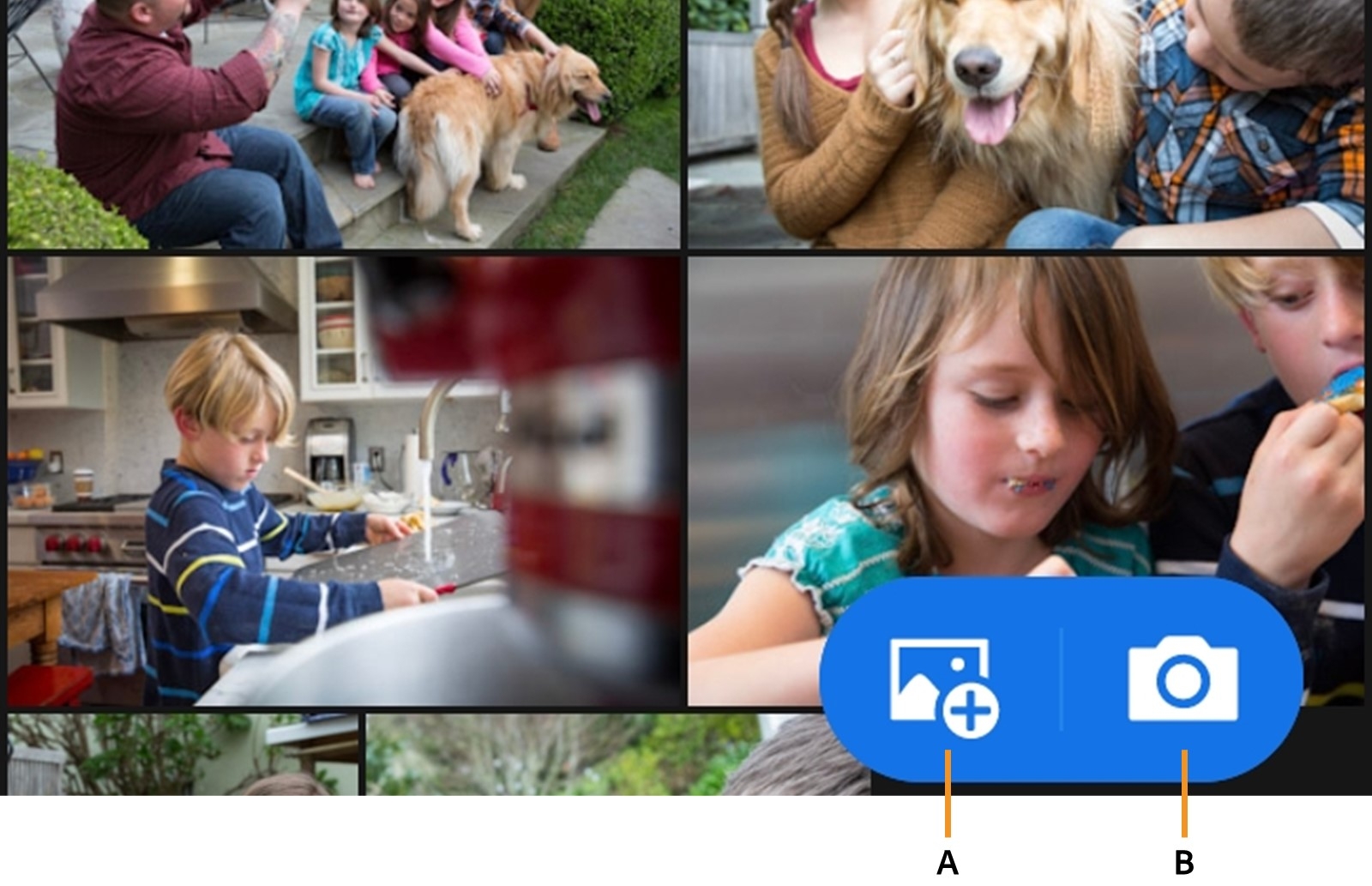 Learn how to search and organize photos in Lightroom for mobile (Android).