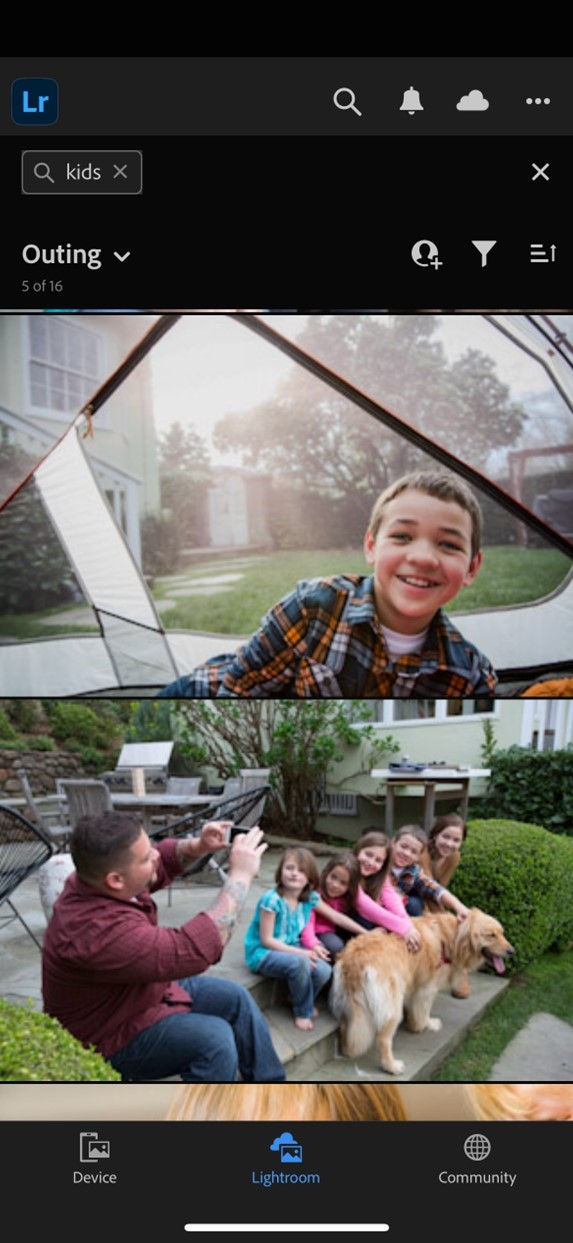 Search and organize photos into albums in Lightroom for mobile (iOS)