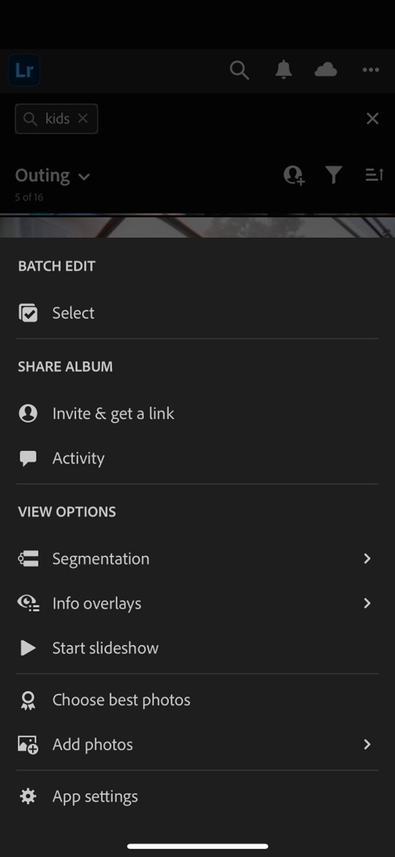Search and organize photos into albums in Lightroom for mobile (iOS)