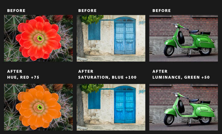 Color Adjustment tool in Lightroom | ערכות לימוד של Adobe Photoshop ...