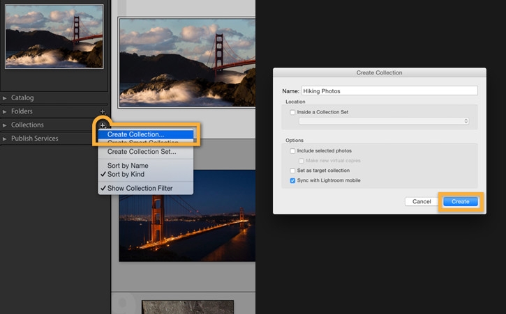 Edit and organize images anywhere, anytime, on all your devices