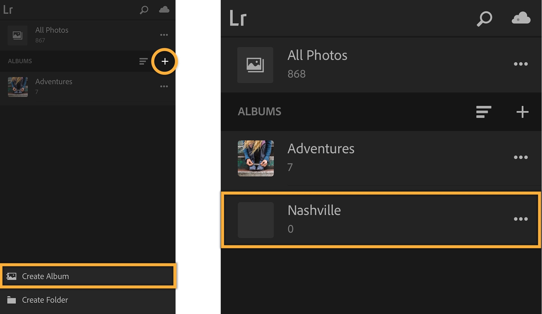 Work with albums in Lightroom on a mobile device