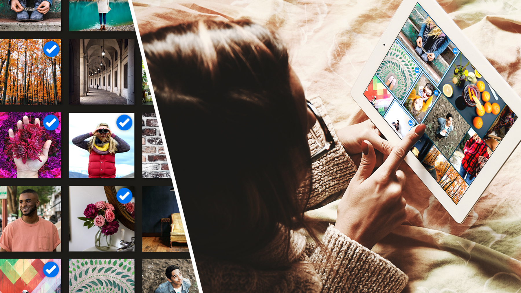 Adobe Learn - Learn Lightroom Use albums to organize your photos in ...