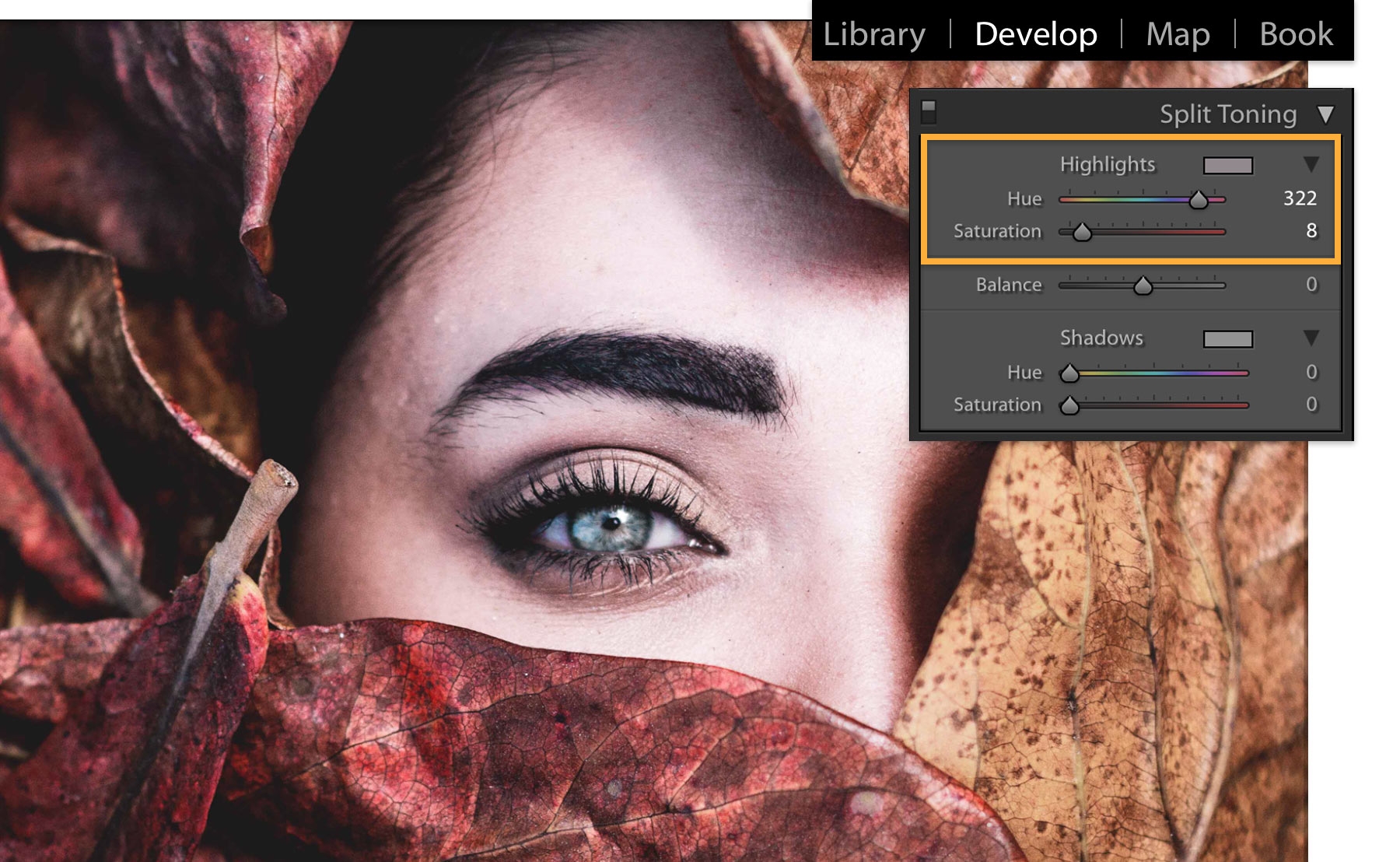 How to stylize a photo with split toning