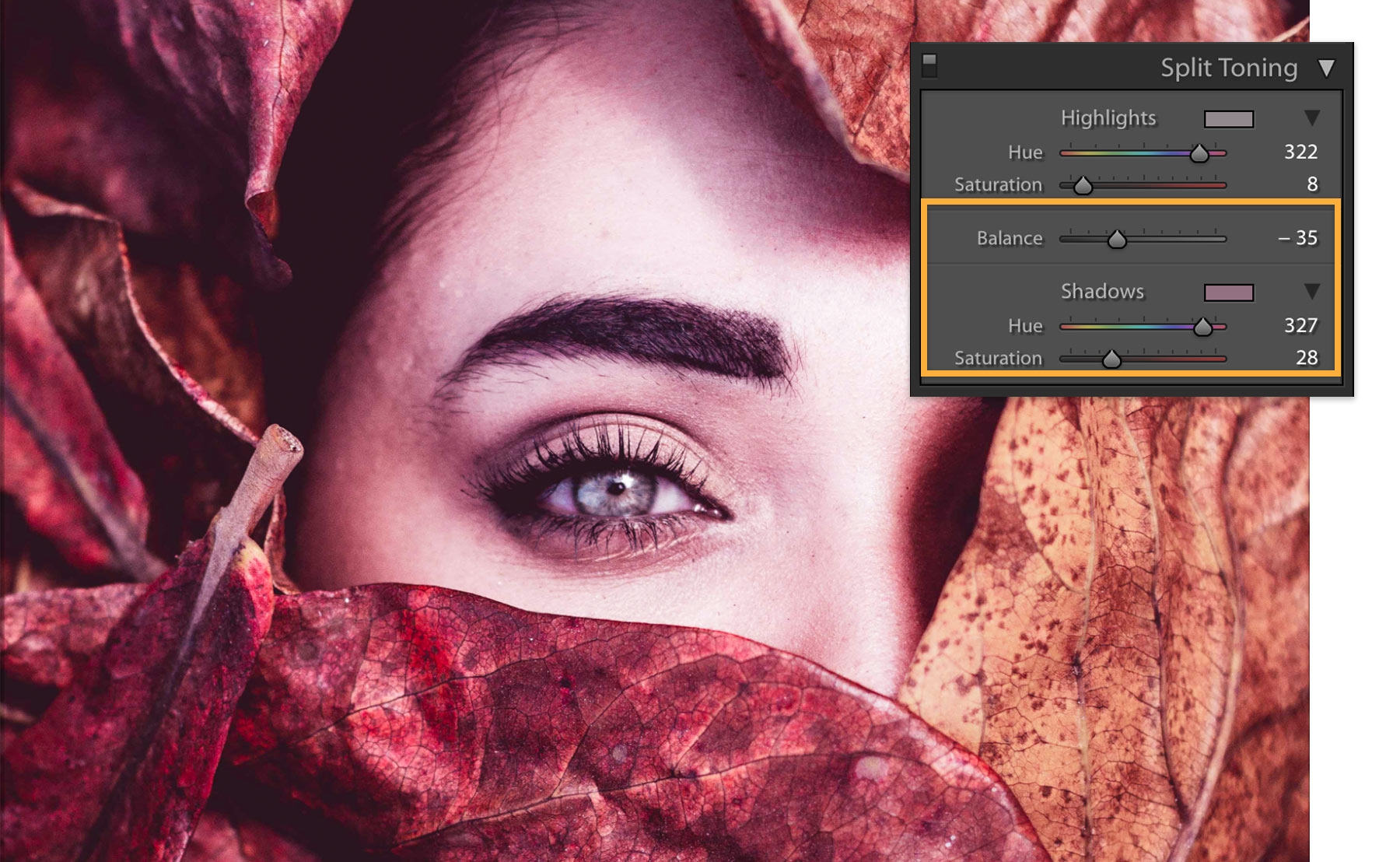 How to stylize a photo with split toning