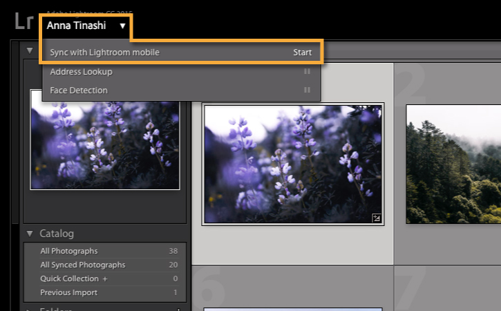 How to sync collections in Lightroom Classic on the desktop to the Lightroom ecosystem | Adobe ...