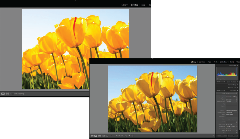 Common questions asked about Color in Lightroom