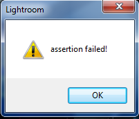 "Assertion failed" update error in Lightroom | Windows