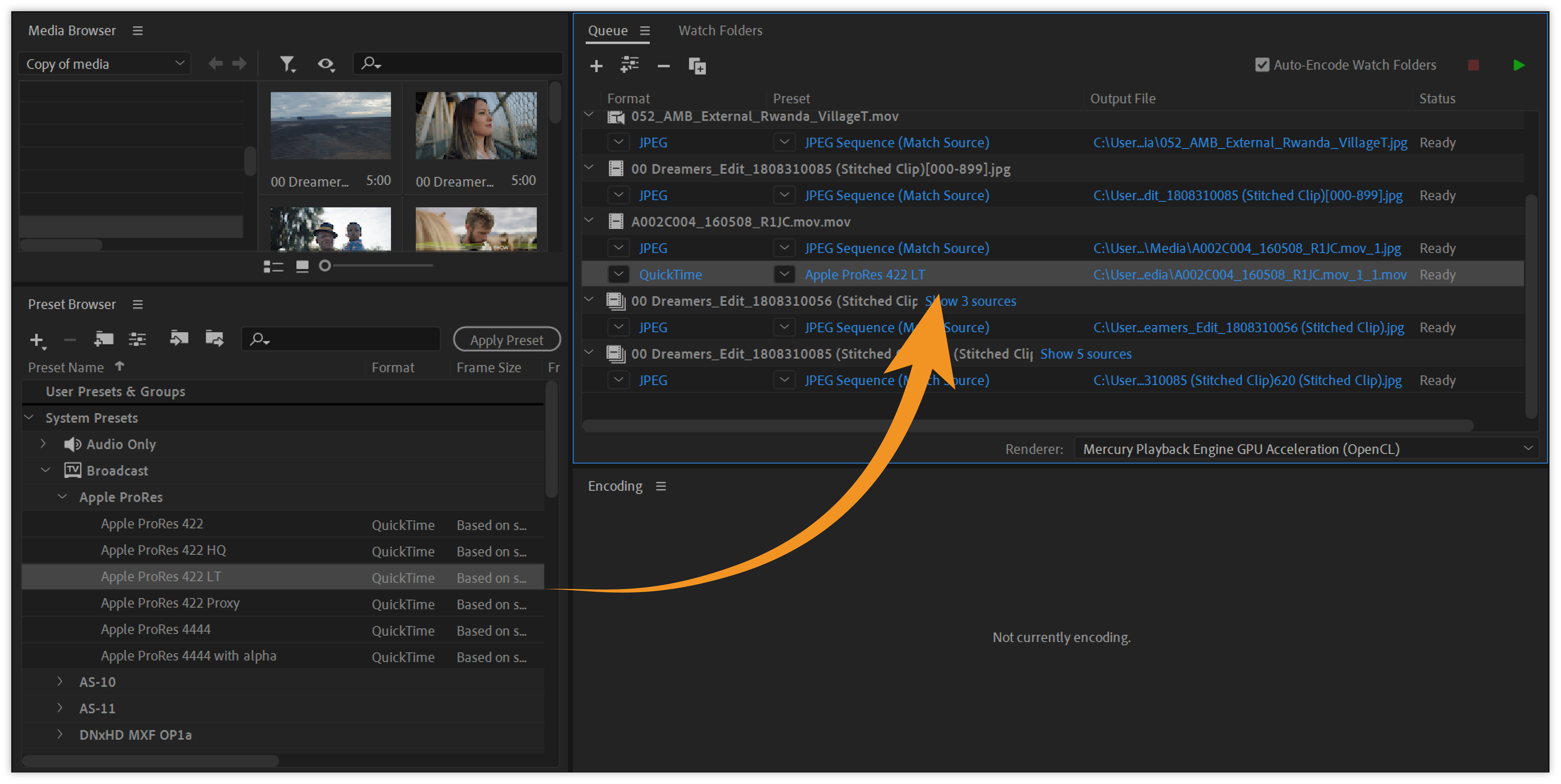 Ice Cream High Exposure Discourage Adobe Media Encoder Export Settings 