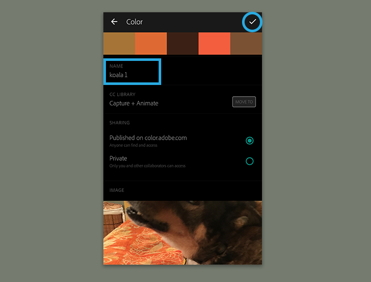 How to animate an ink drawing with Adobe Capture and Animate | Adobe ...